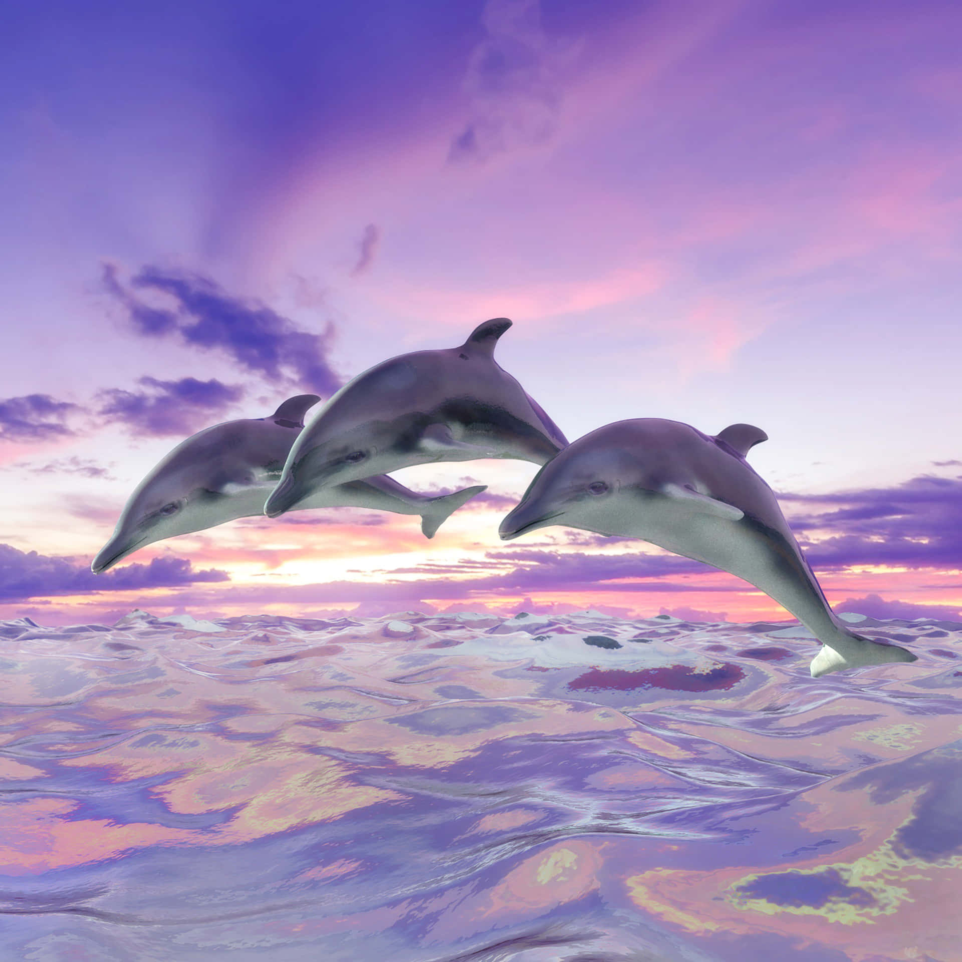 Cute Pink Dolphin Wallpaper