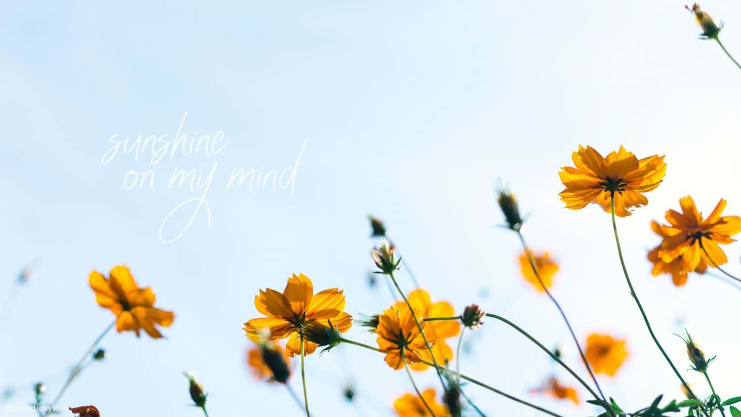 Spring Aesthetic Desktop Wallpapers | WallpapersOK