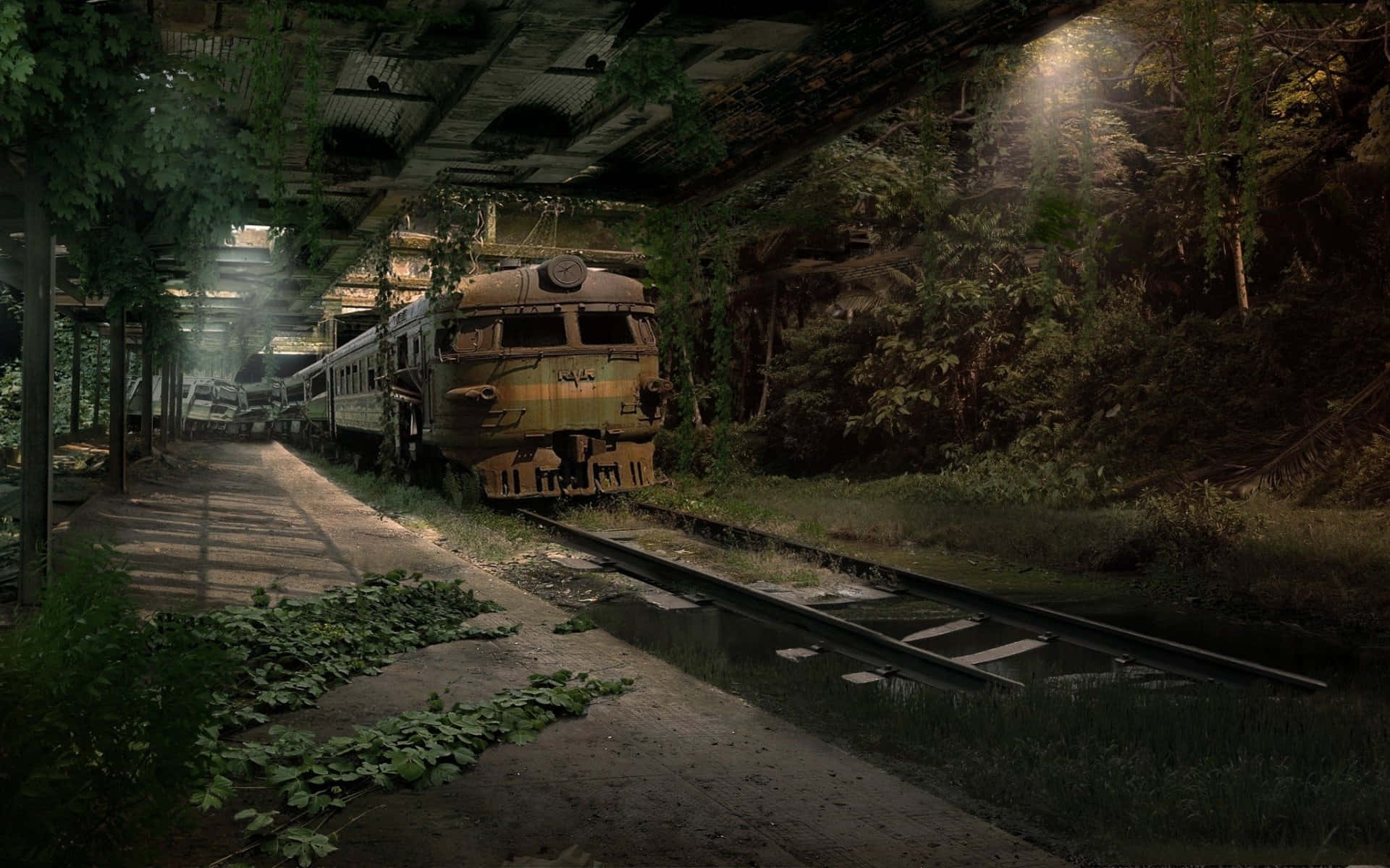 Abandoned Subway Wallpaper Hd