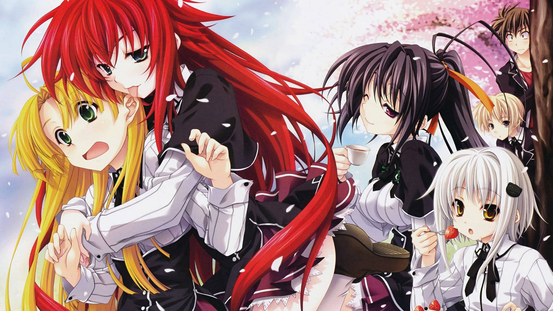 Koneko Highschool Dxd Wallpaper