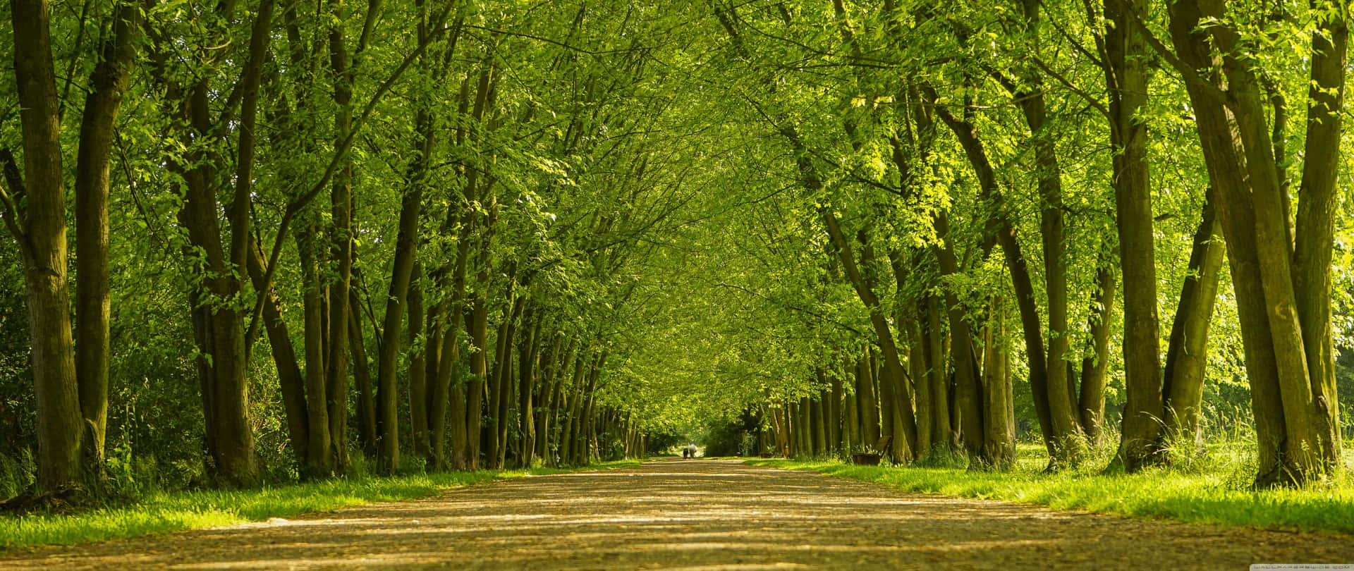 Ultra Wide Nature Wallpapers | WallpapersOK