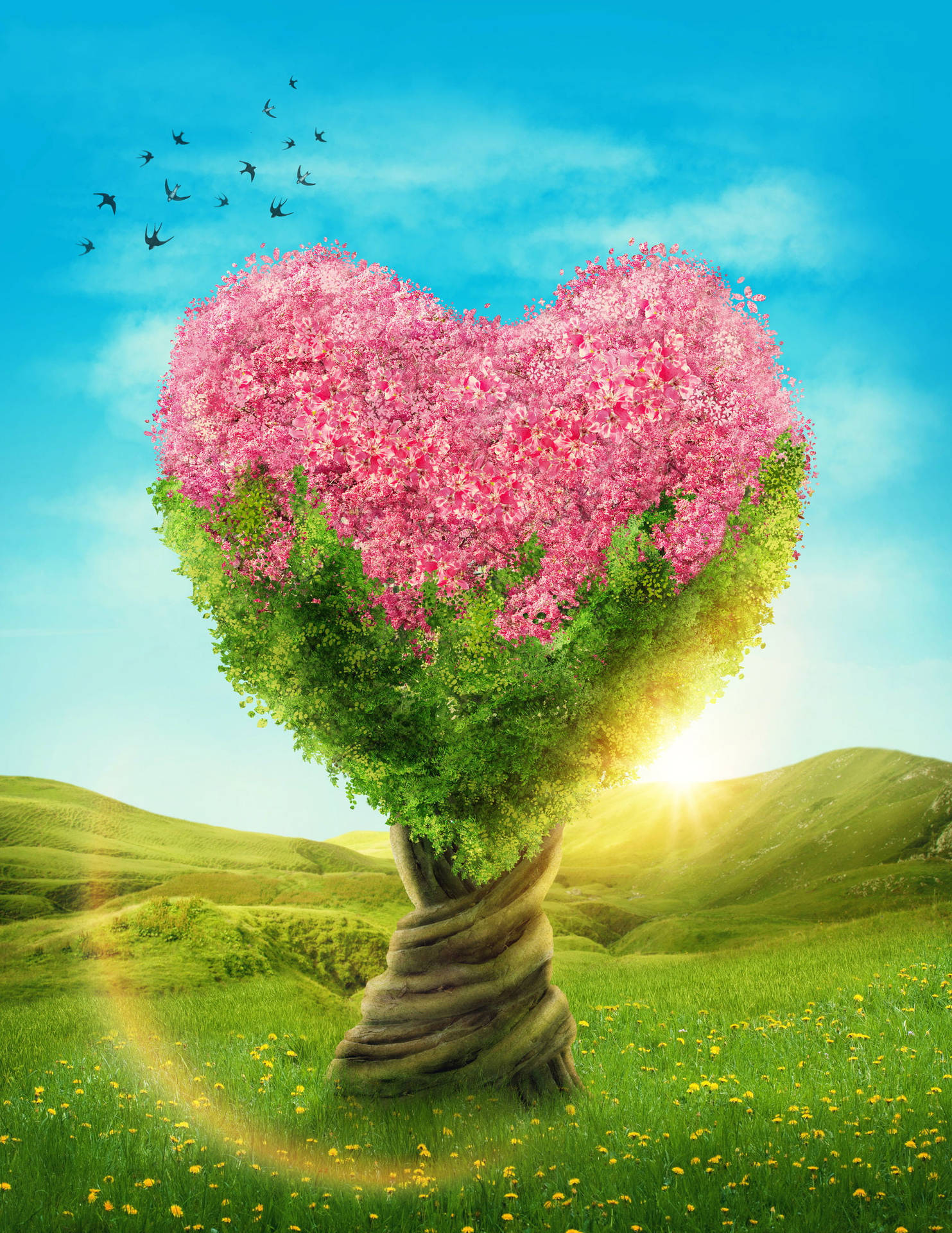 Beautiful Love Images Of Nature