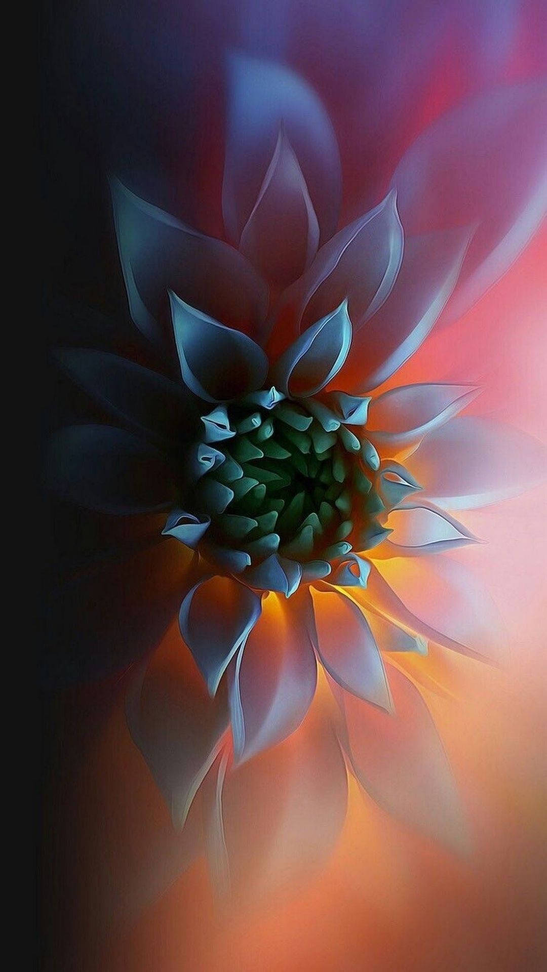 Single Flower Wallpaper