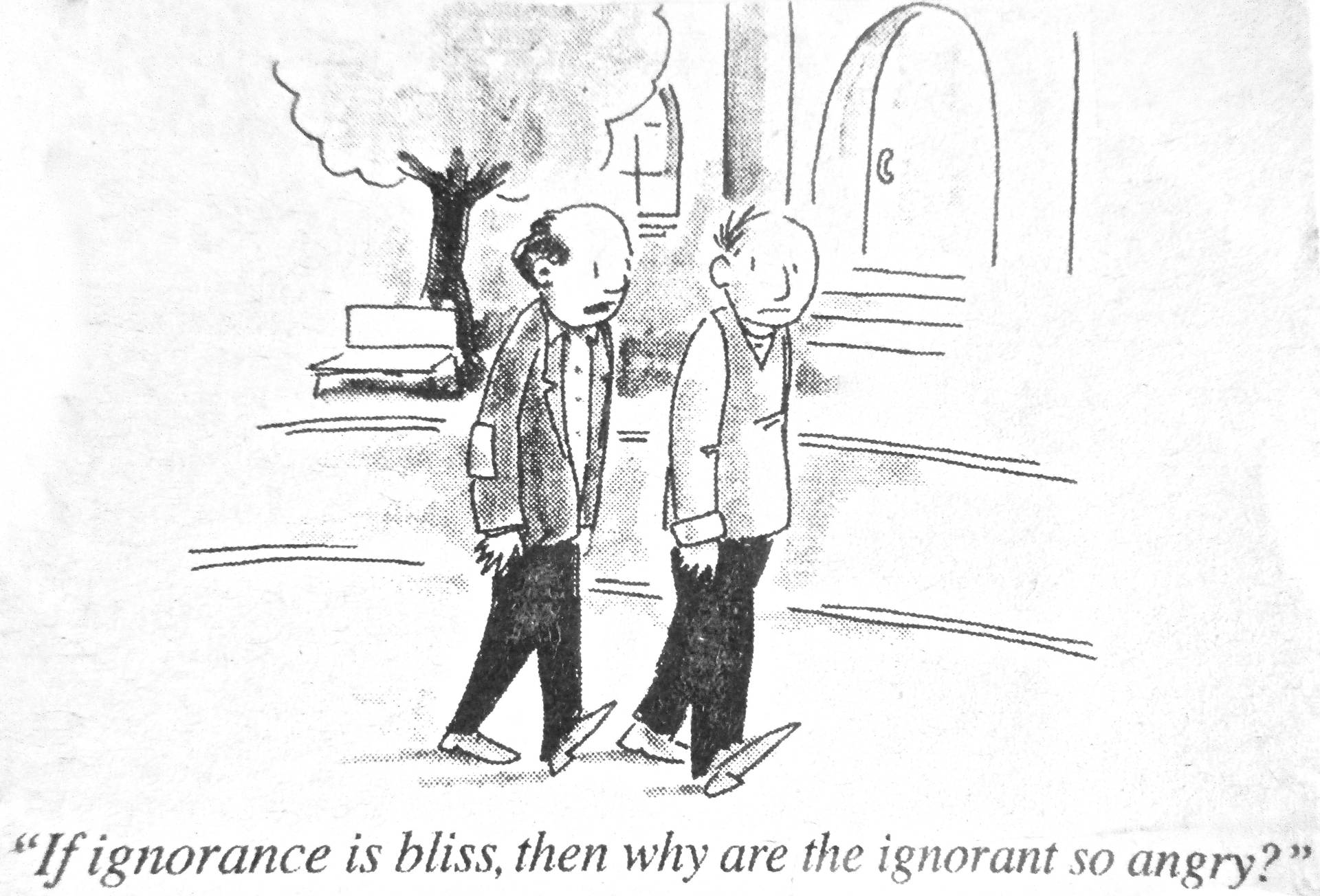 Ignorant Cartoon