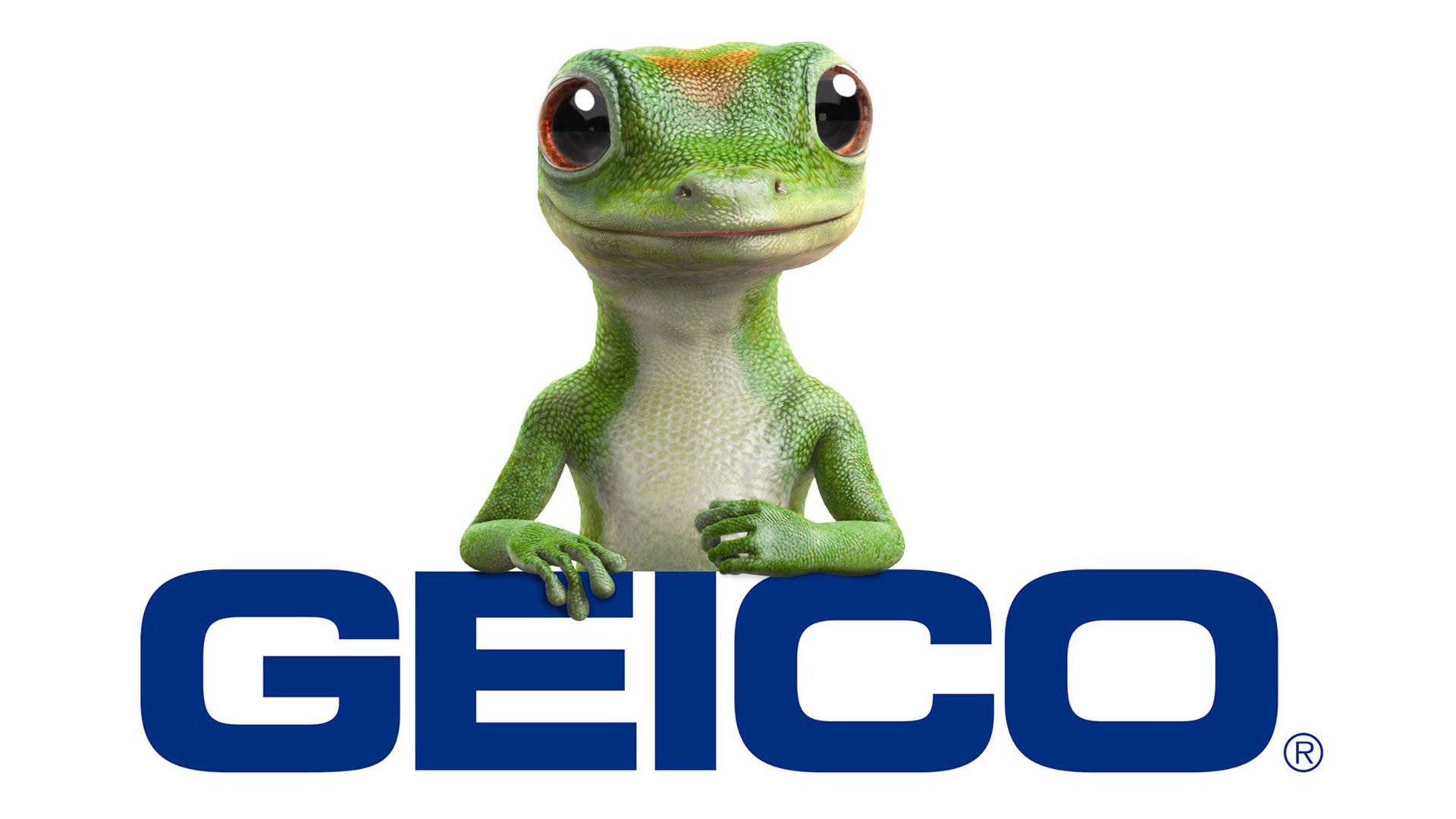 Geico Gecko Wallpaper 53 Geico Gecko Images Stock Photos, High Res