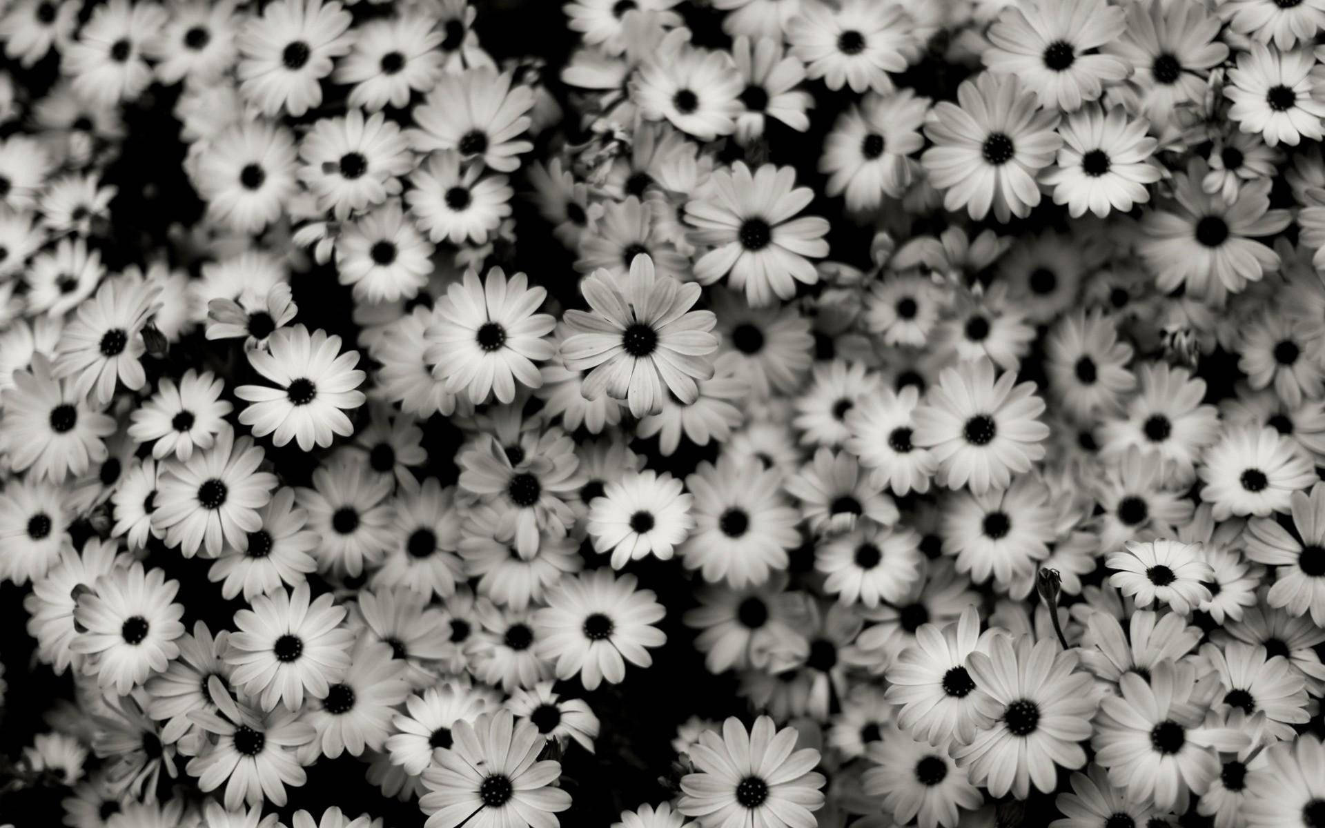 Wallpaper laptop tumblr store