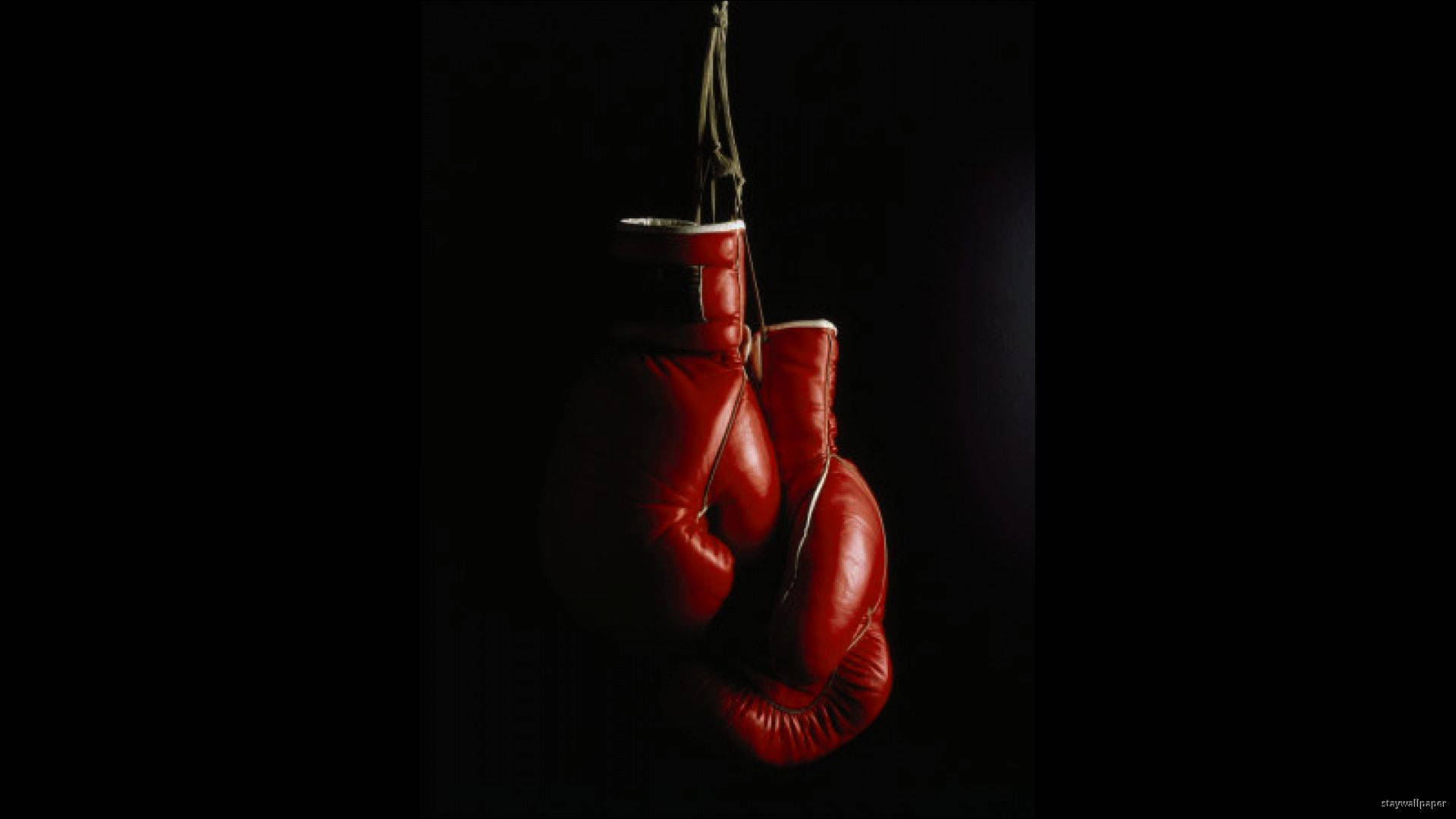 Boxing Wallpaper 1920x1080 280+ Boxing Corner Man Stock Photos,