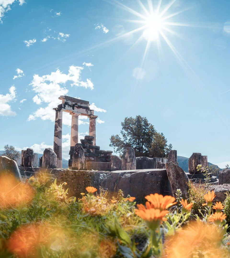 Delphi Wallpapers | WallpapersOK