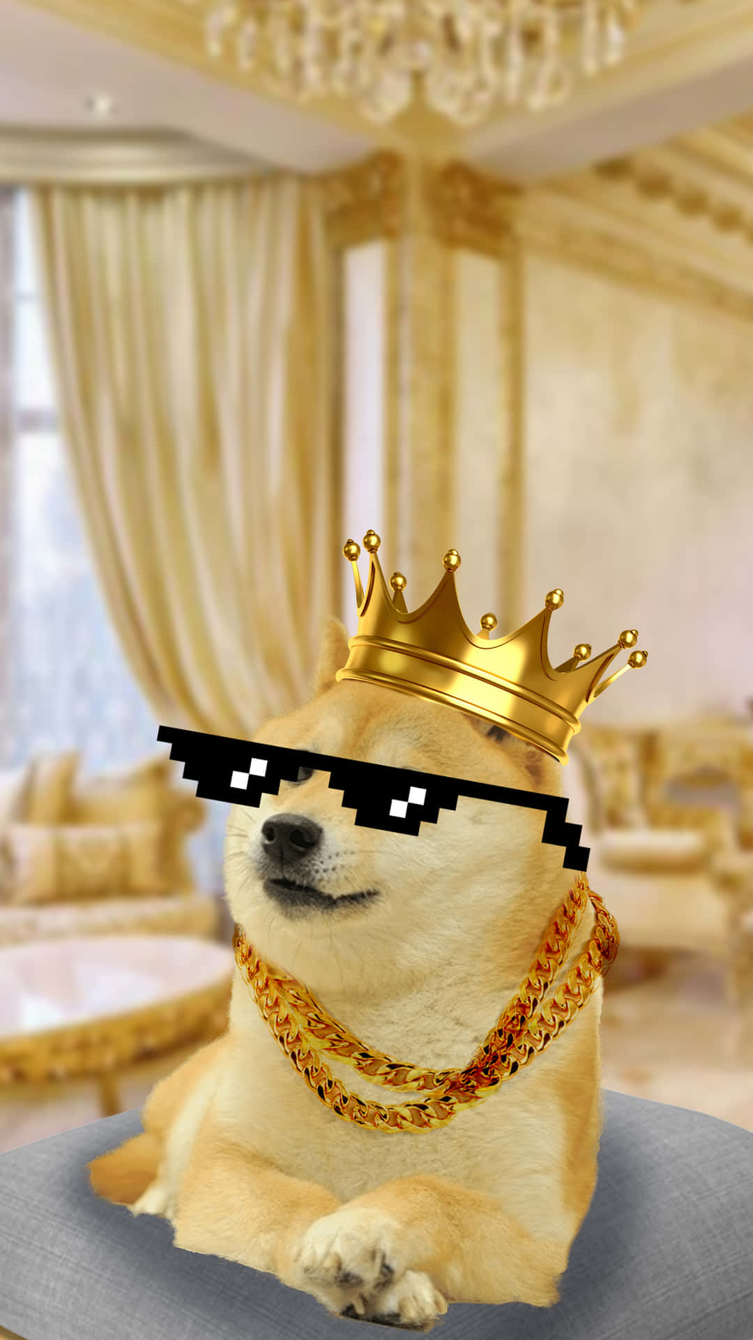 Dog Doge Wallpaper Much Impawrtant, Don’t Miss‼, #doge #dogememes