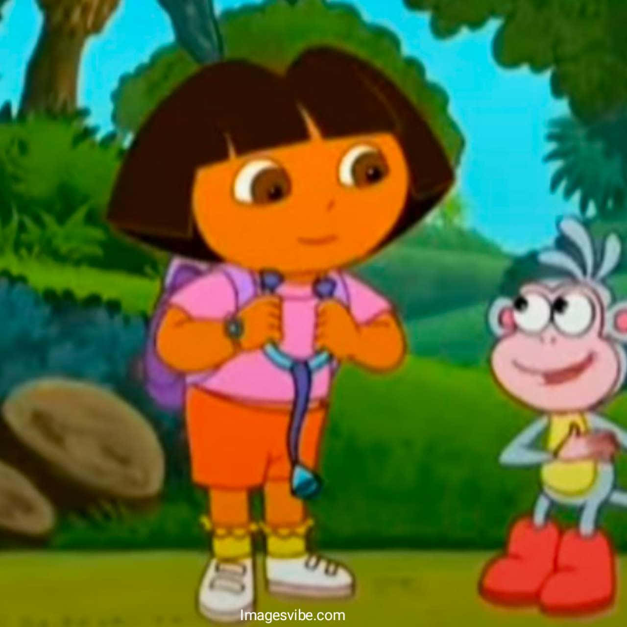 Funny Dora Wallpapers | WallpapersOK