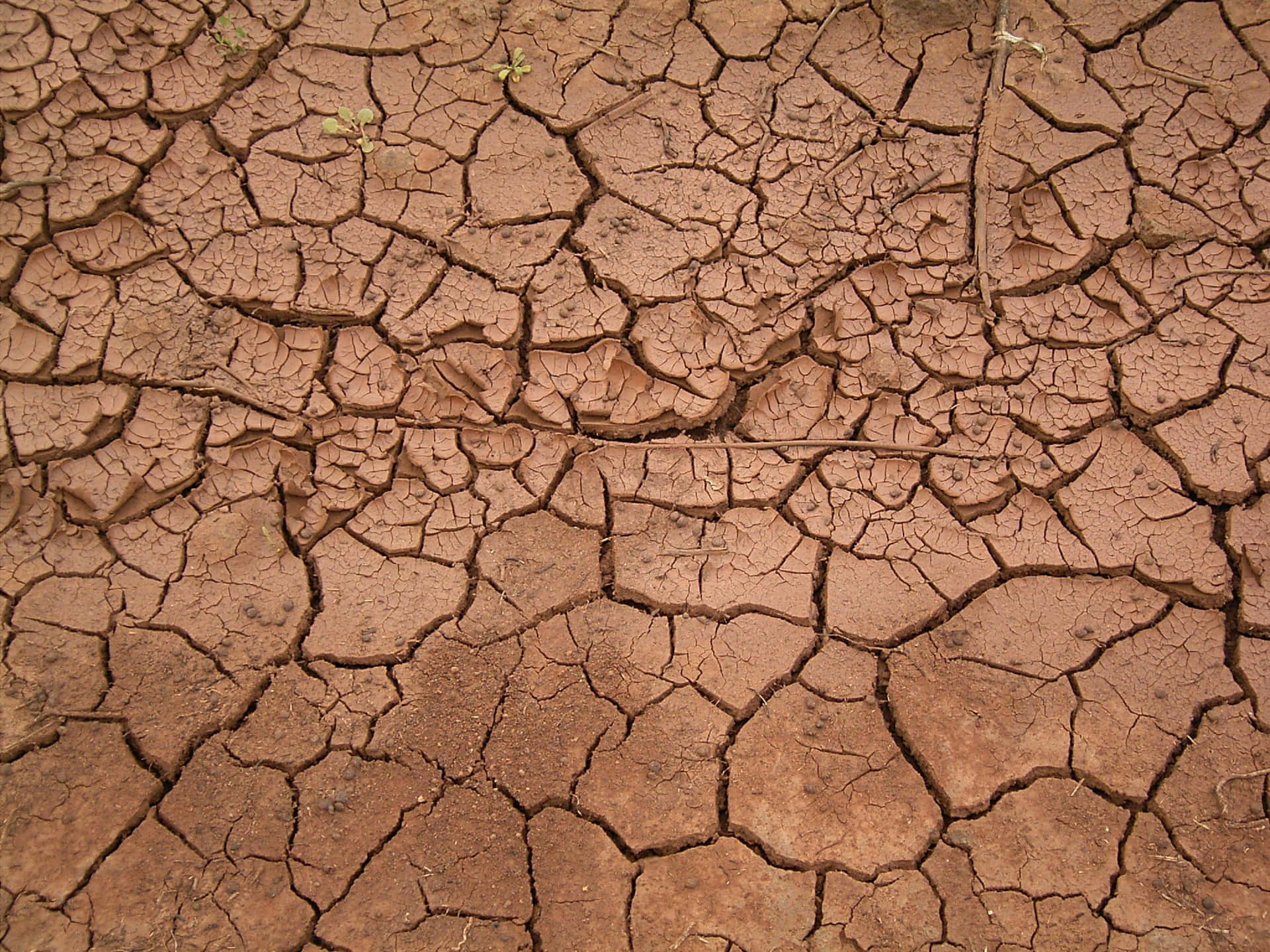 Mud Wallpaper 4,751 Red Mud Stock Photos, High Res Pictures, And