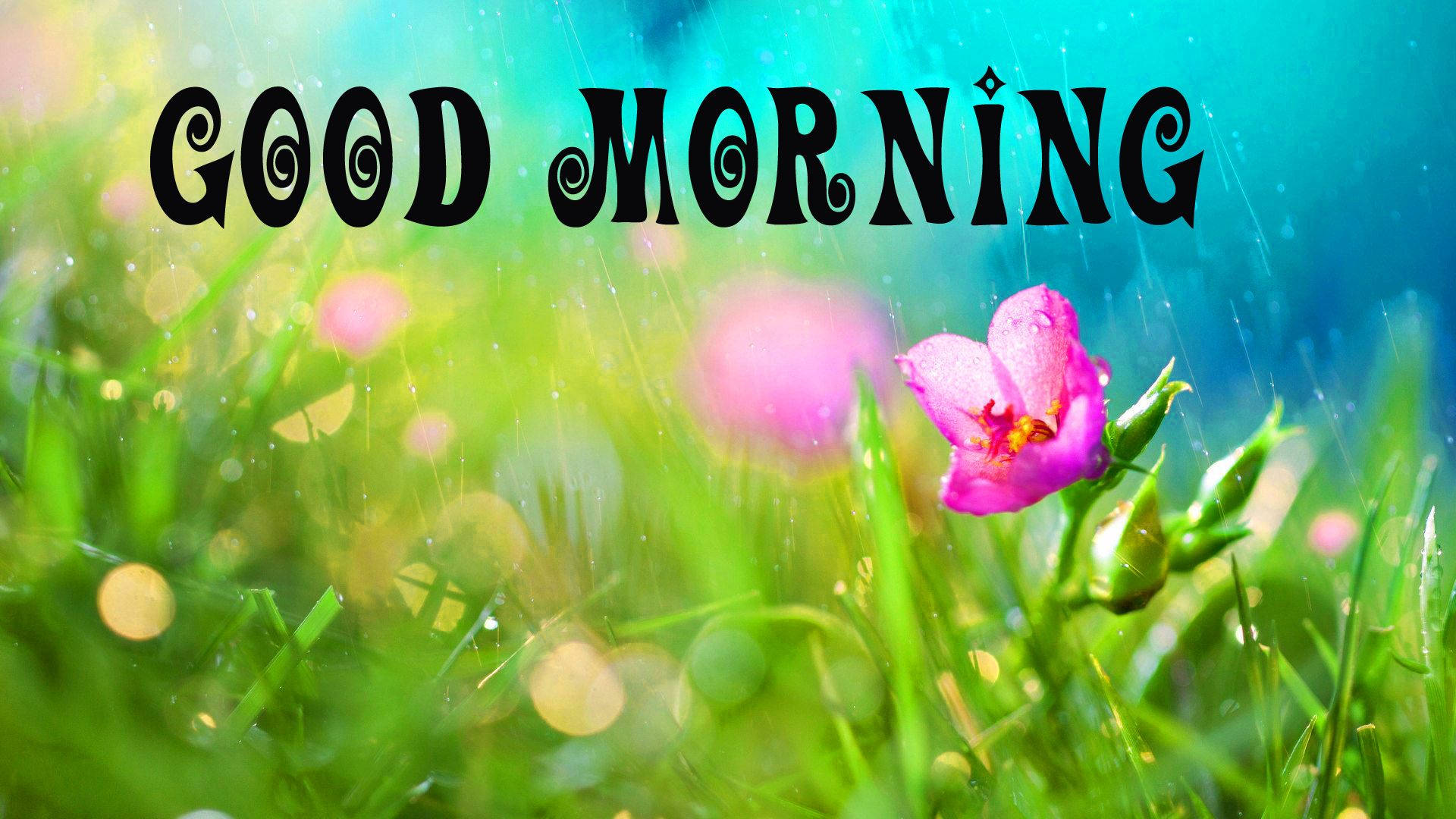 Goodmorning Image Rain