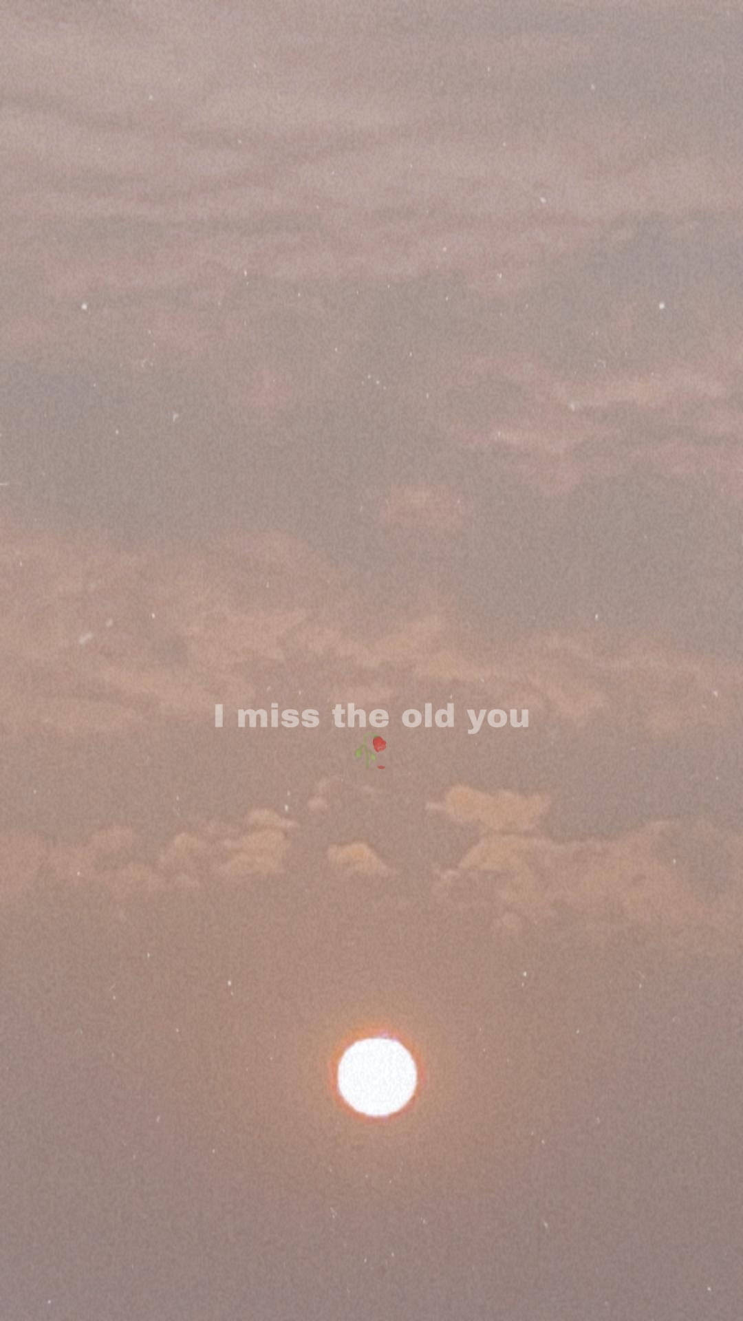 I Miss The Old You Quotes Quotes About Missing My Old Self