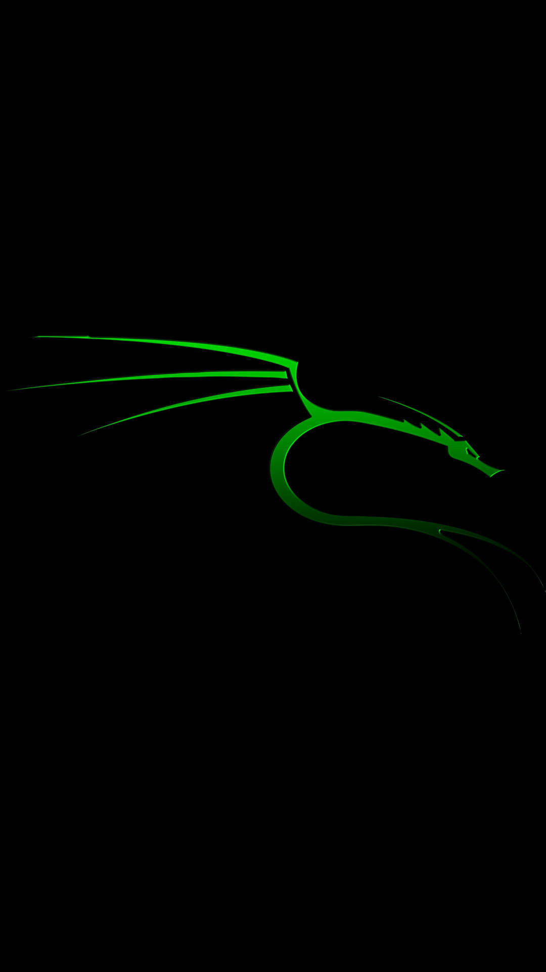 Kali Linux Archives - wallpaperok