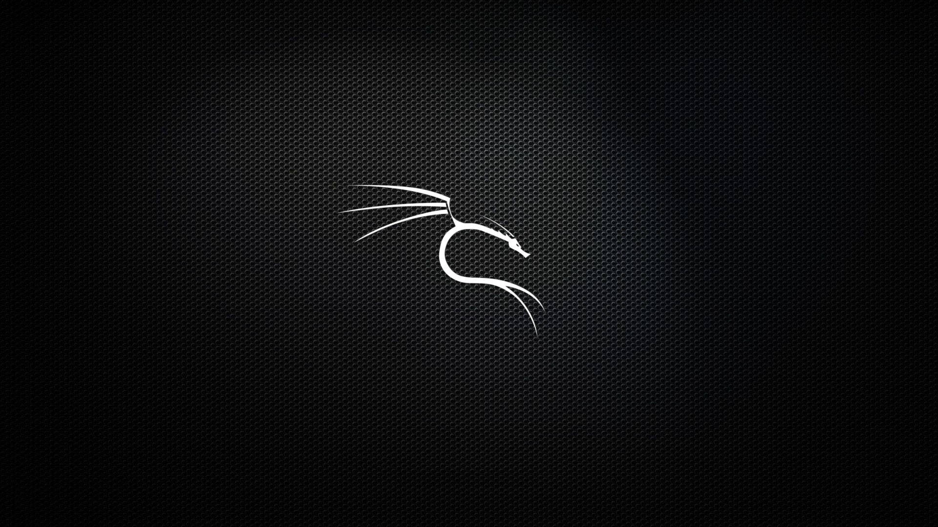 Kali Linux Archives - wallpaperok