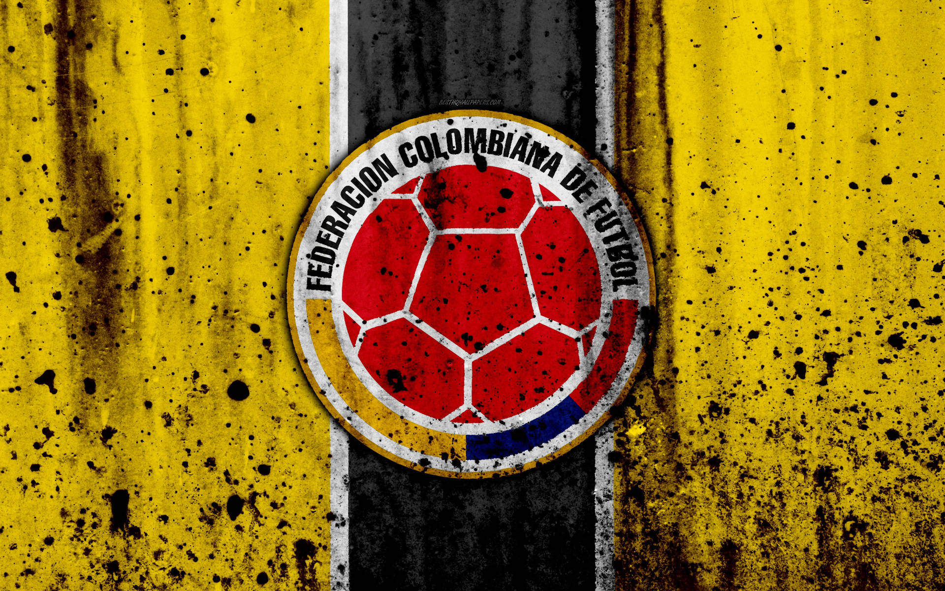 Colombia National Football Team Logo Pre Match: 2024 Copa America: