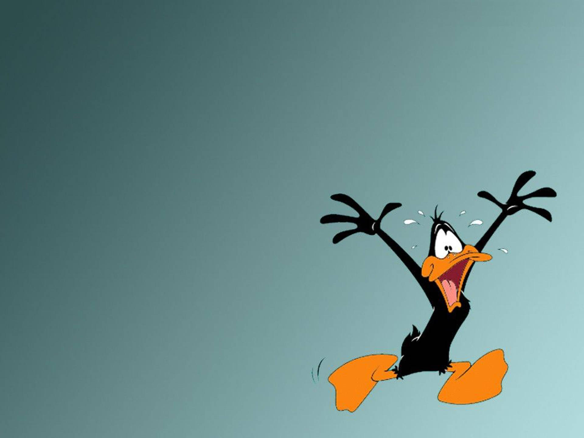 Daffy duck wallpaper store