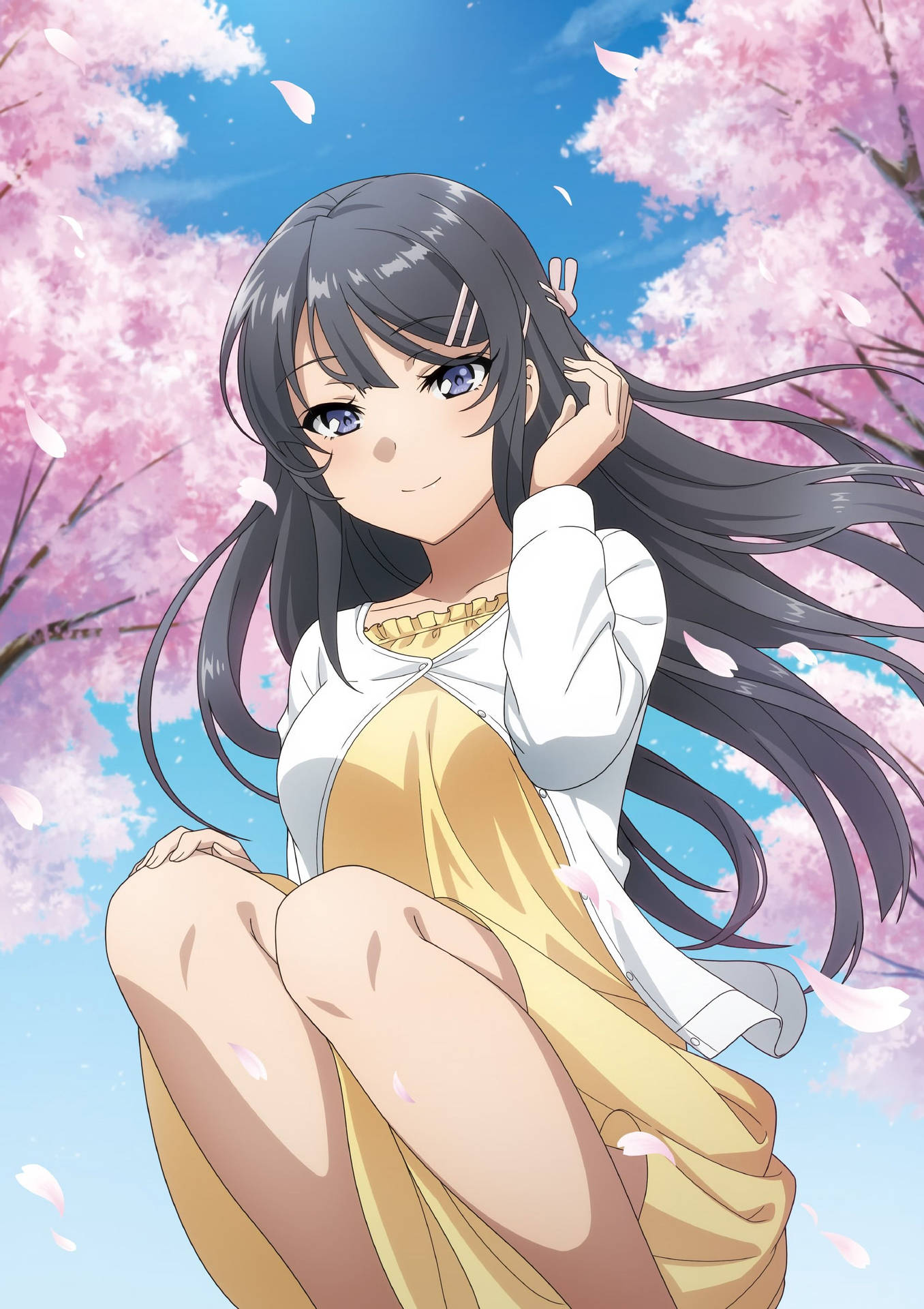 Sakurajima mai wallpaper store