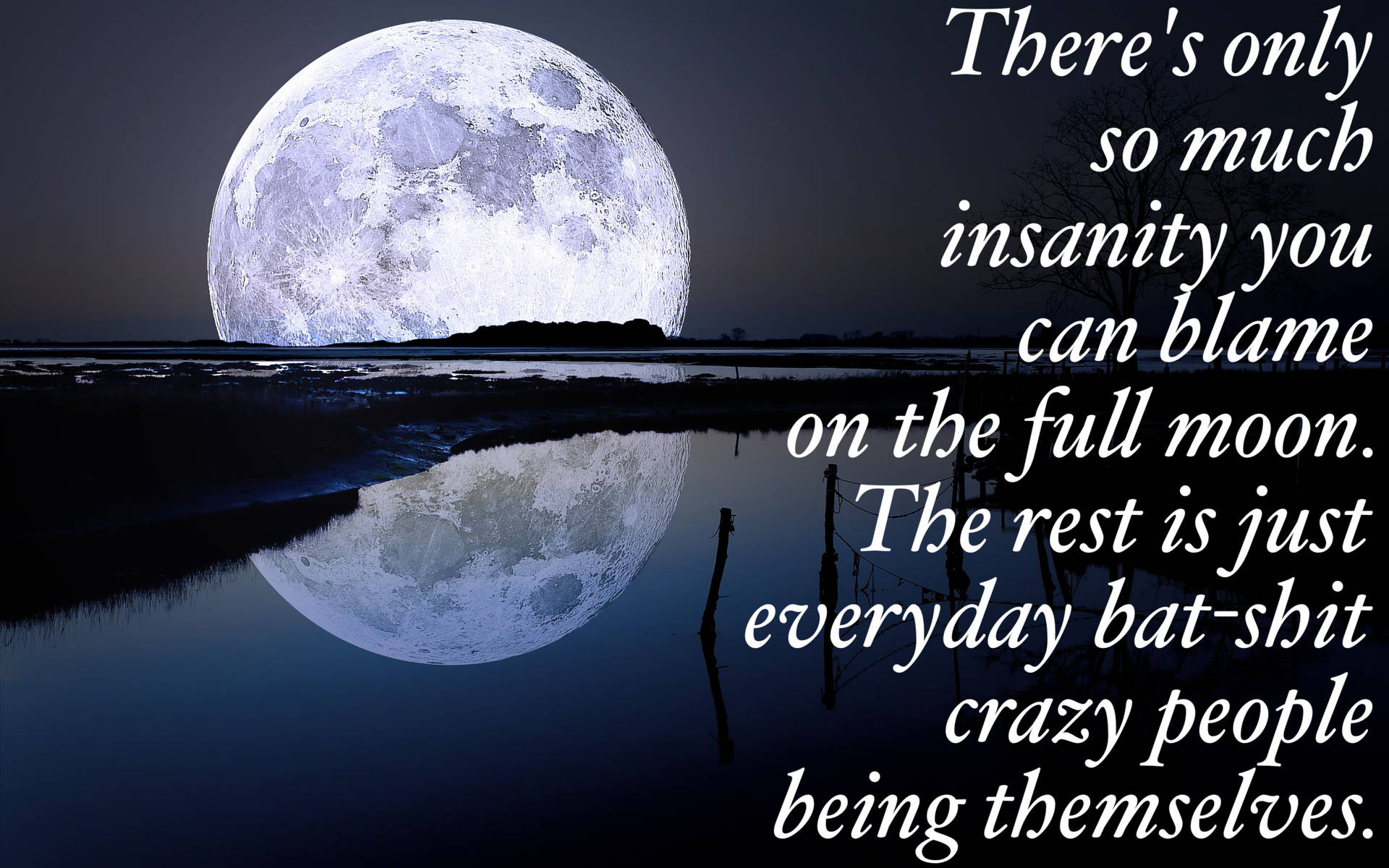 Blue Moon Quotes My Top Moon Quotes, Affirmations And Rituals The