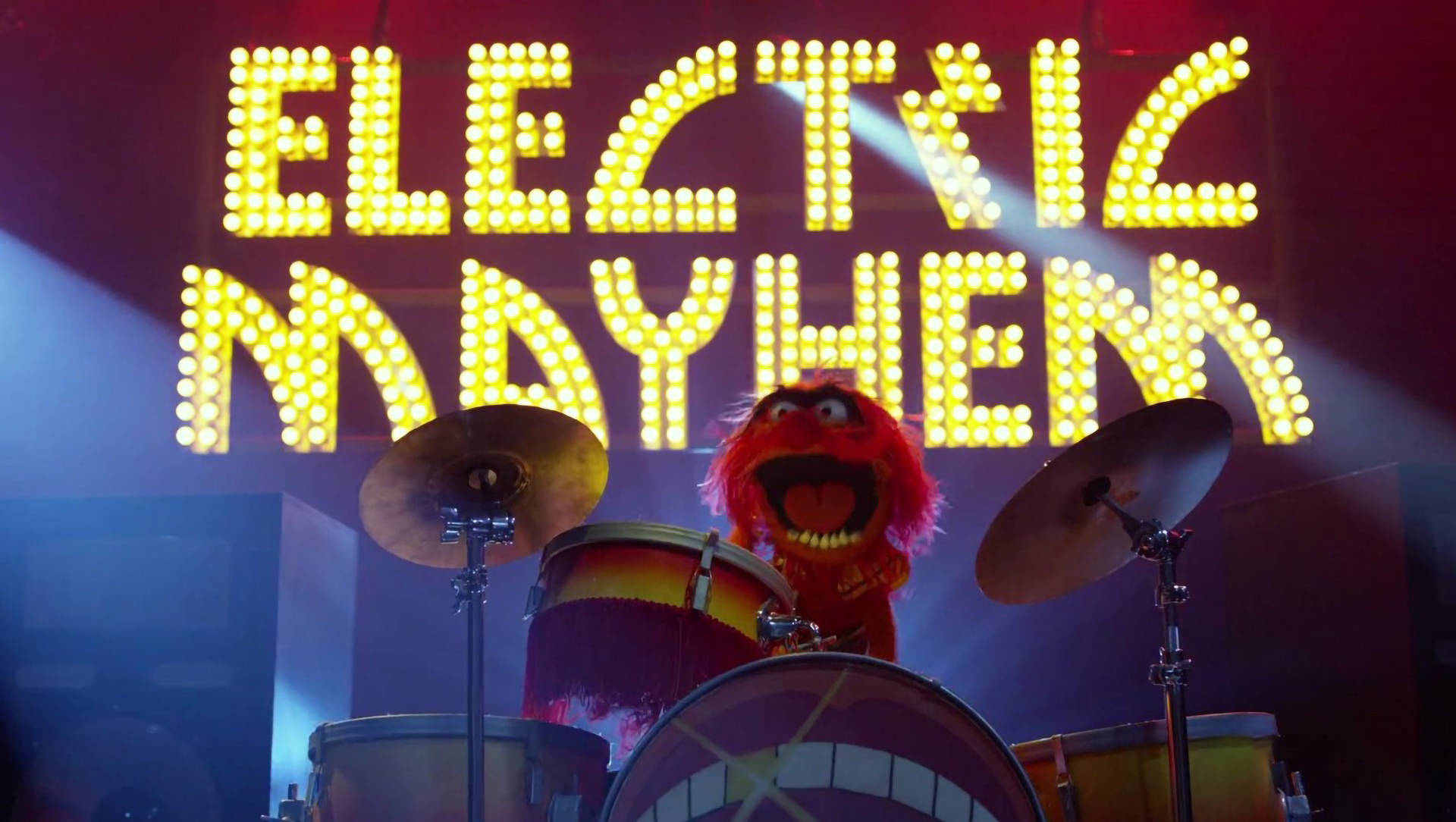 Muppets Animal Drummer Wallpaper