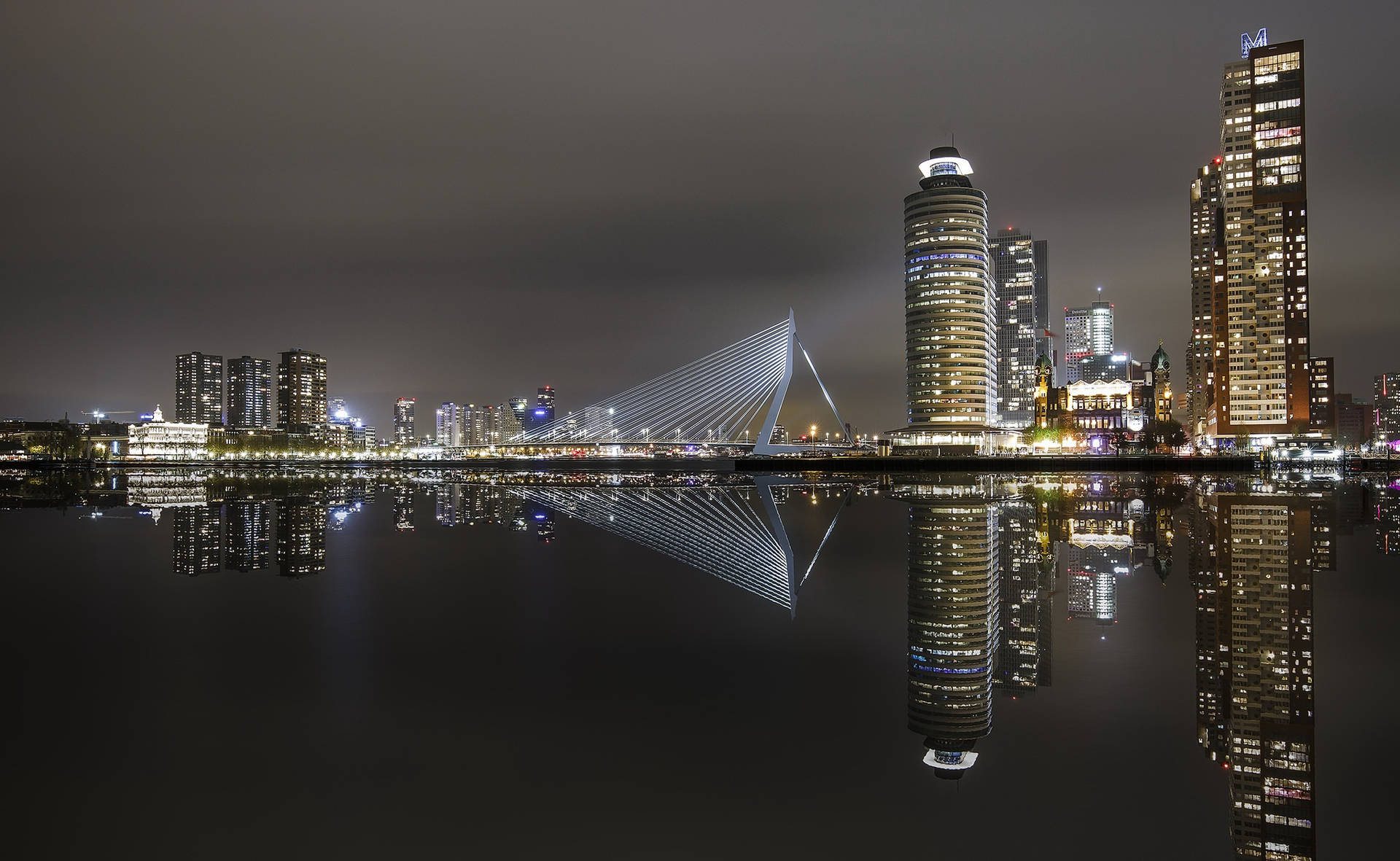 Rotterdam At Night Wallpaper 1440x2630 Erasmus Bridge, Night,