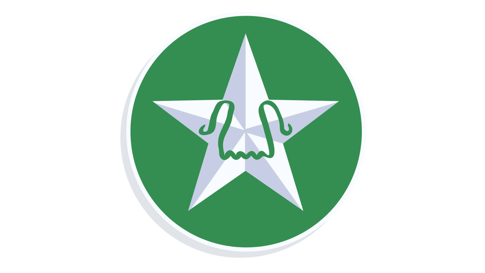 Pakistan Team Logo