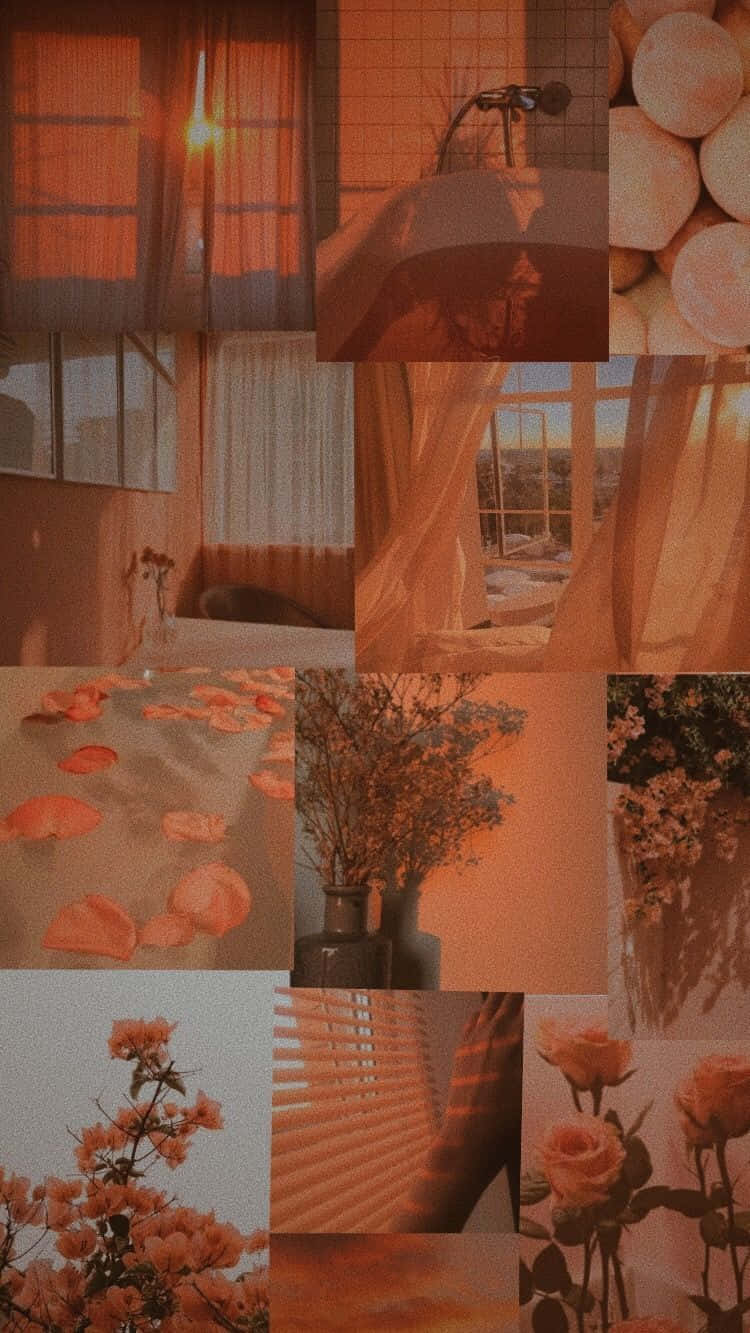 Pastel Peach Aesthetic Wallpapers | WallpapersOK