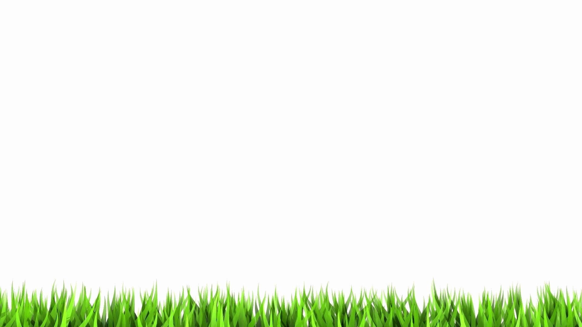 Pure Simplicity Blank White Screen Wallpaper WallpapersOK