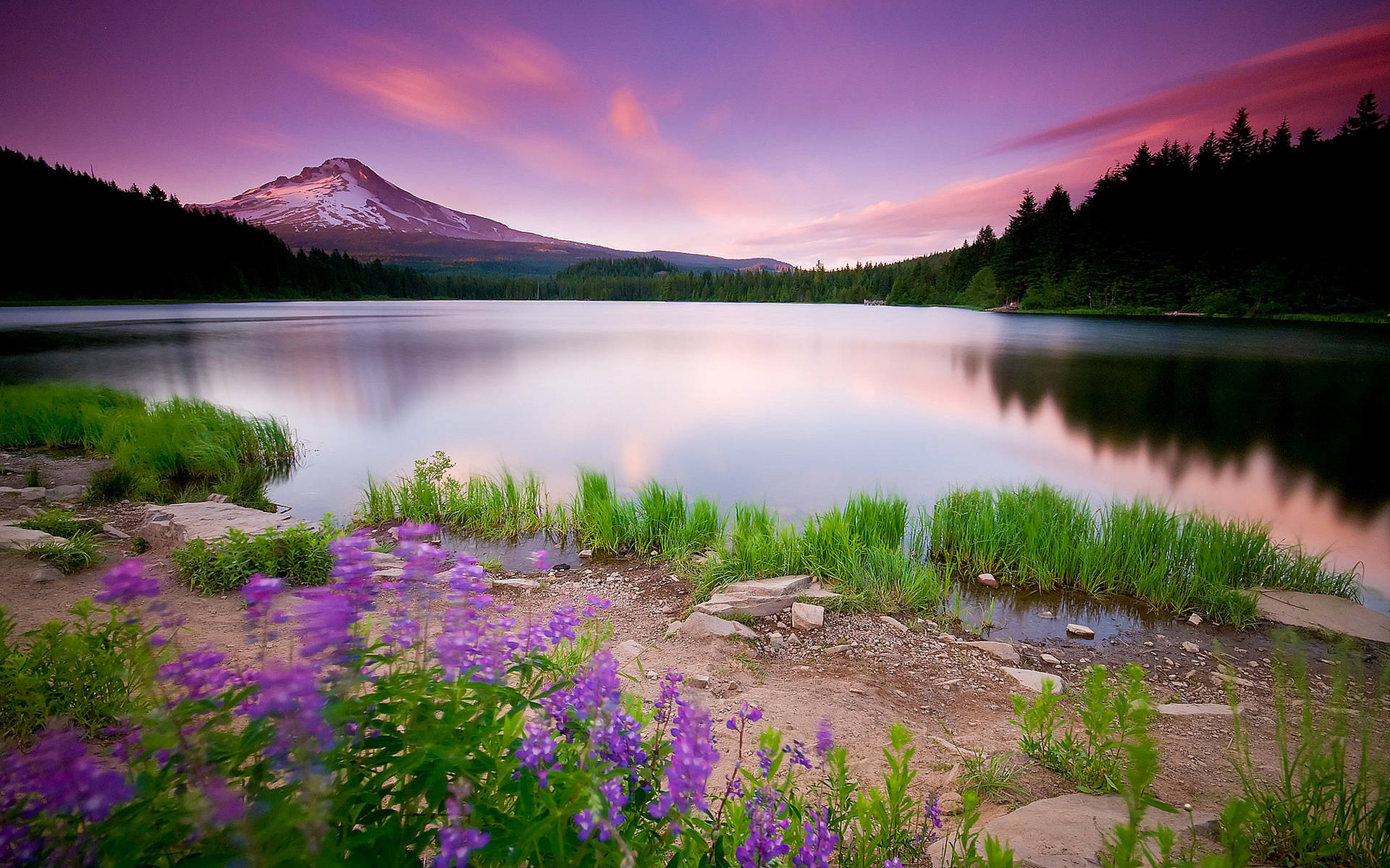 Beautiful wallpapers images store