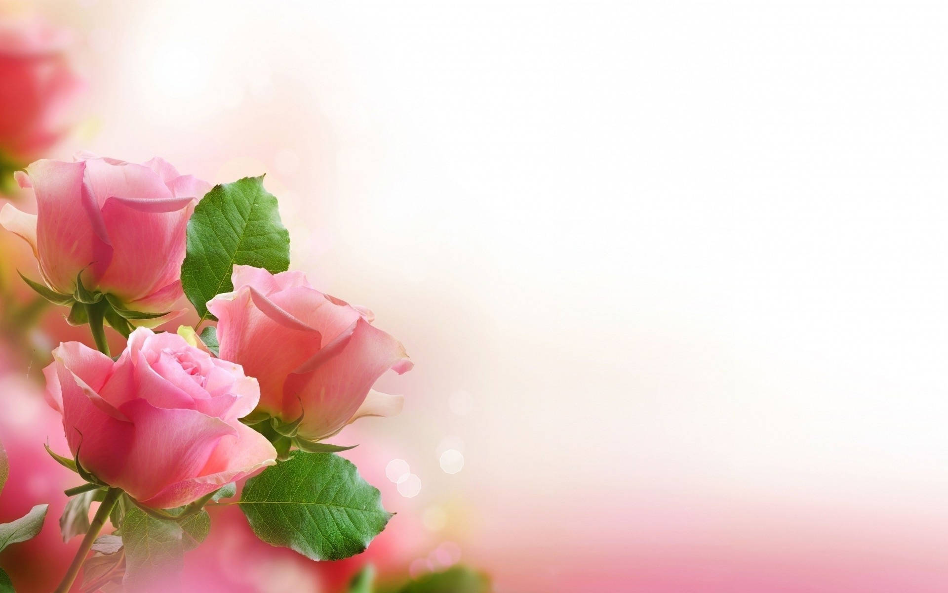 Love flower wallpaper store