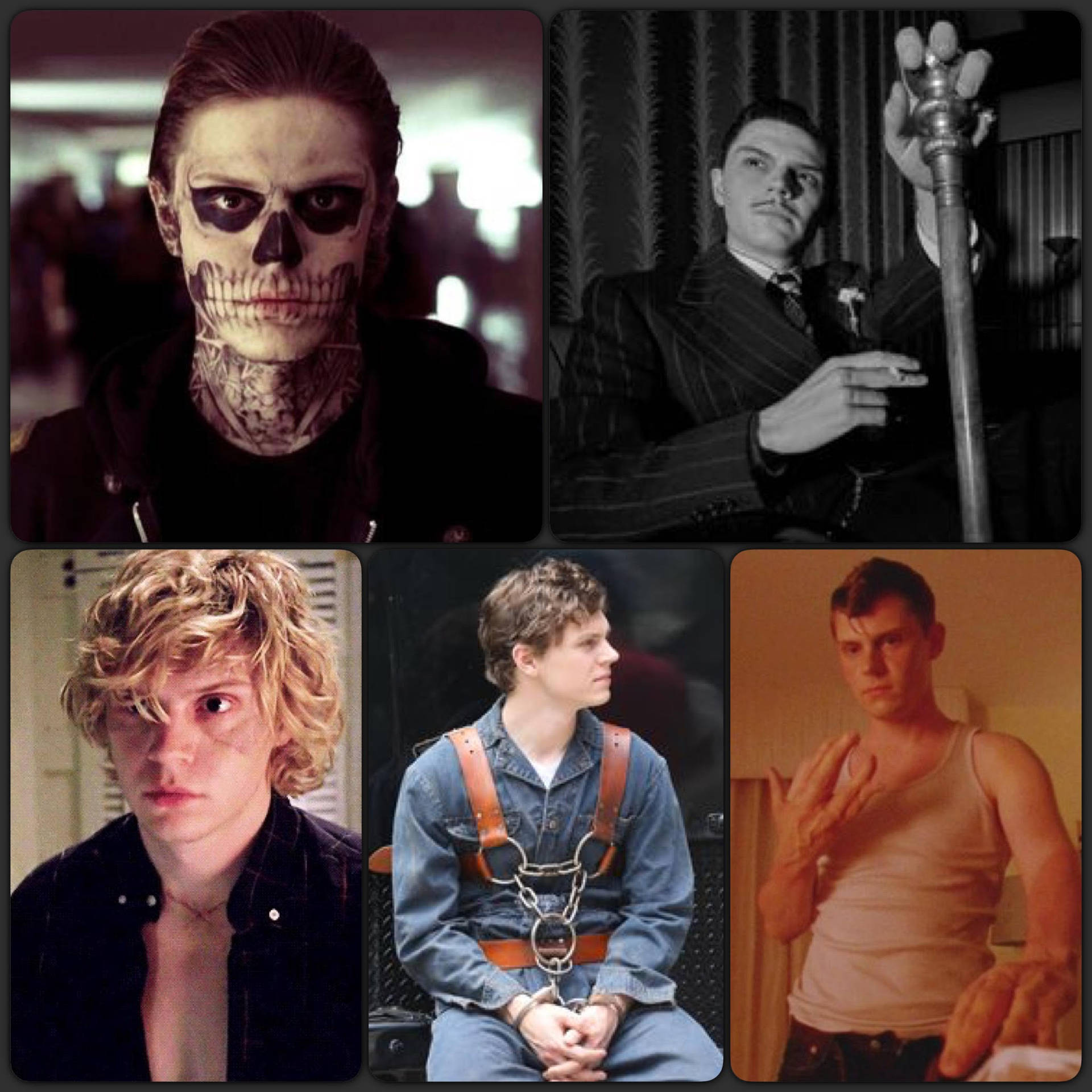 Collage De Tate Langdon All Posts By Supernatural999 | Fandom