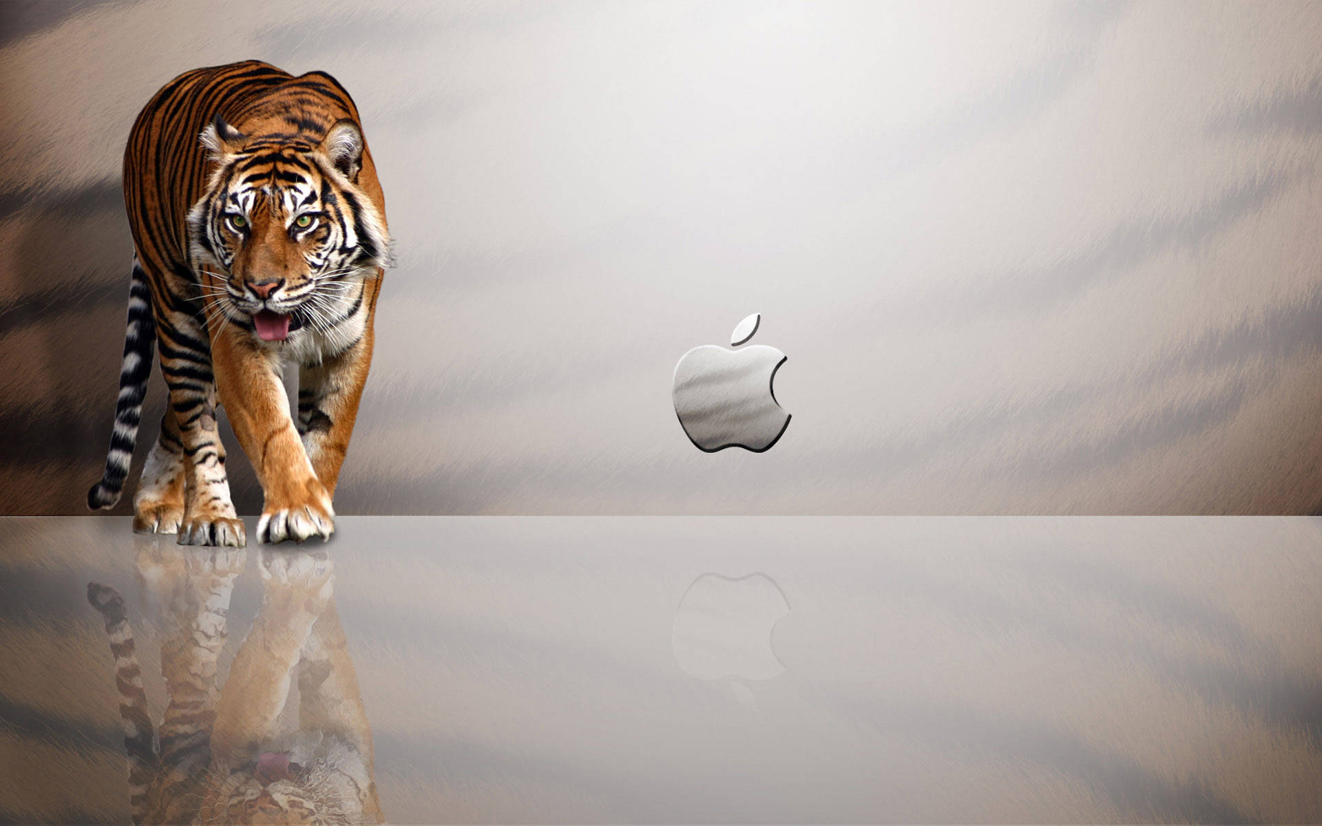 Mac Tiger Wallpapers Hd Xee Download Free (Mac) 3.5.4 | Softpedia