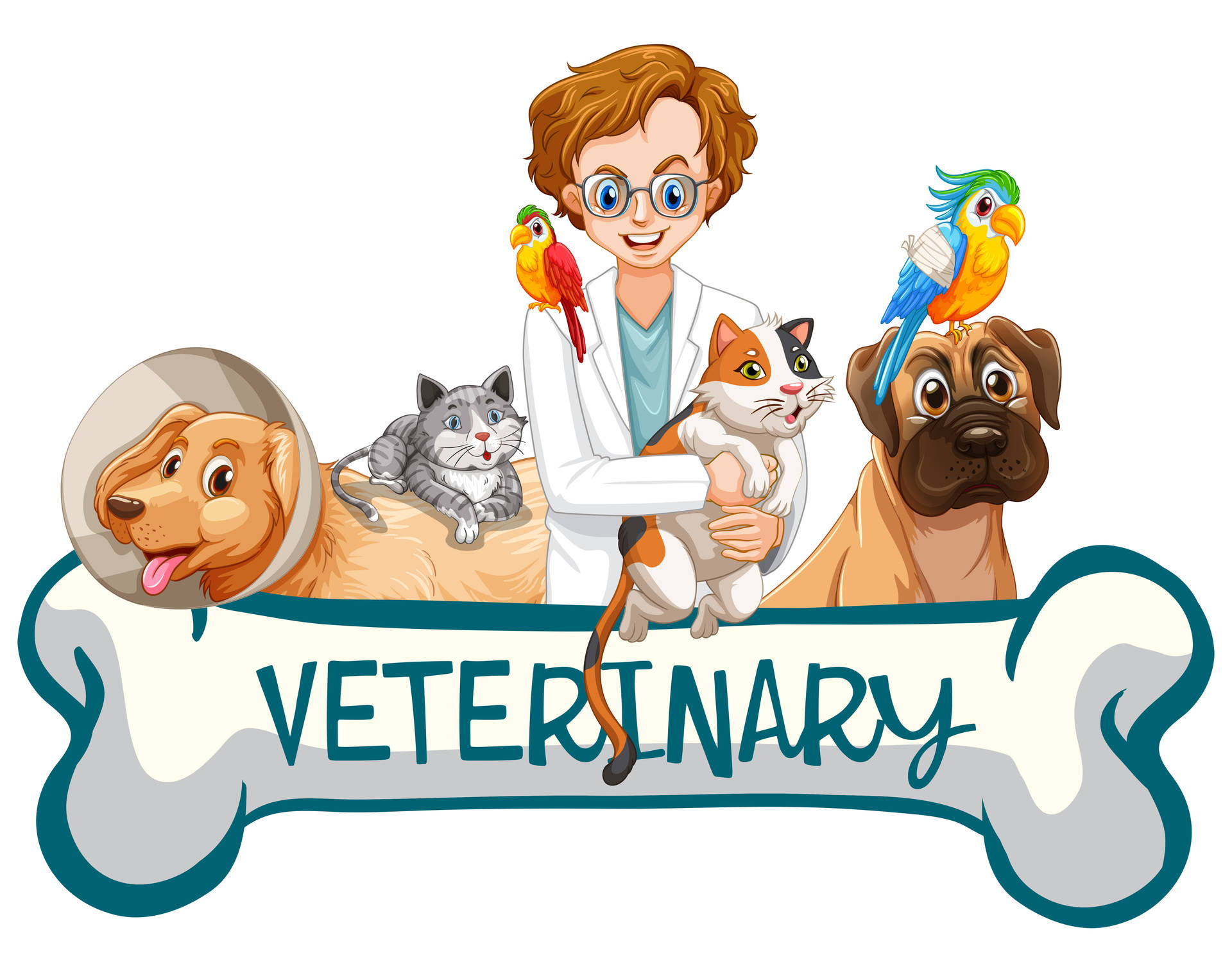 Veterinarian Cartoon Veterinary Surgery Cartoons And Comics Funny