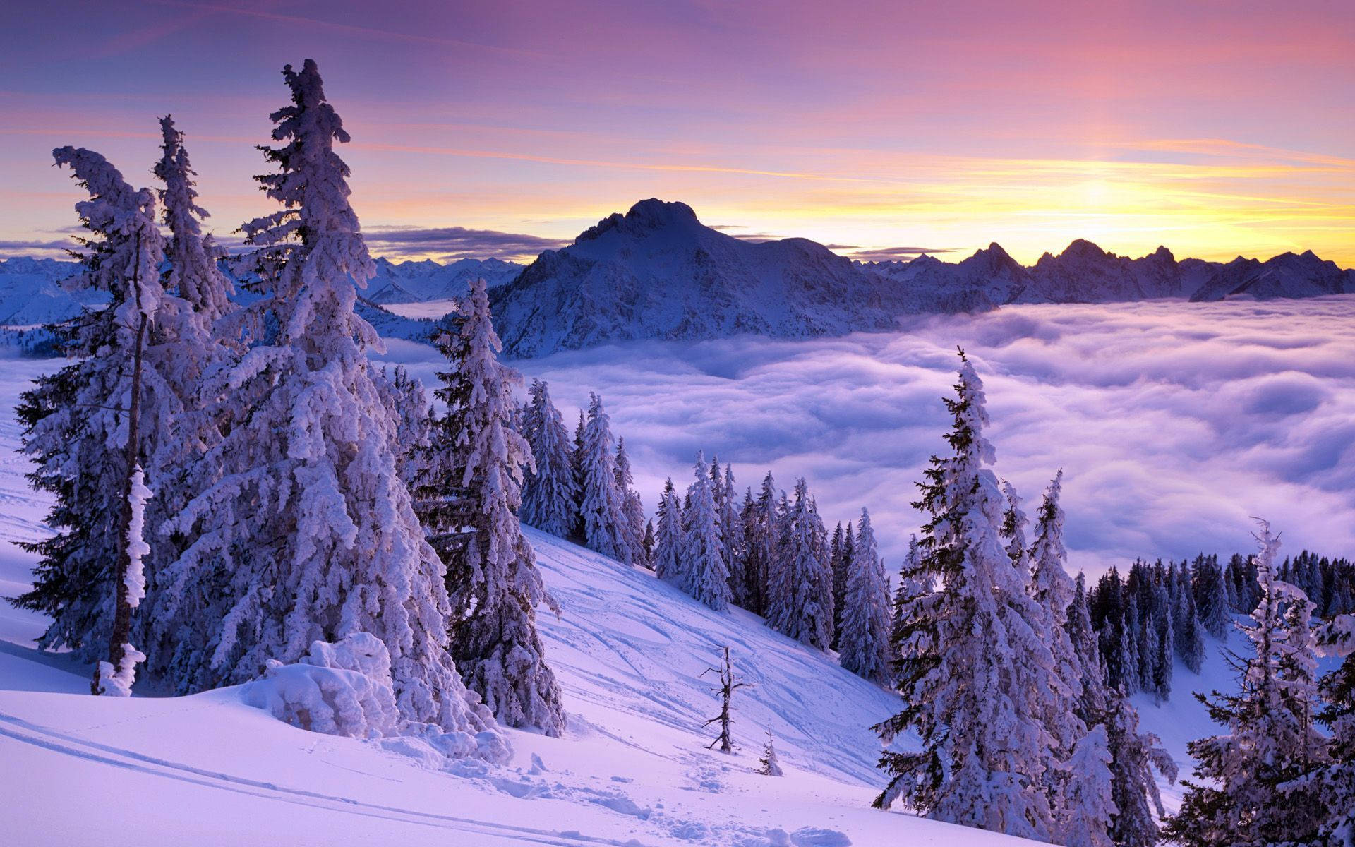 Winter Sunset Desktop Wallpaper Download Wallpaper 1125x2436 Winter,