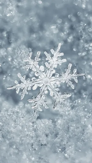 Snowflakes wallpaper store