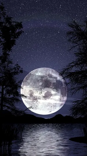 Dark night wallpapers store
