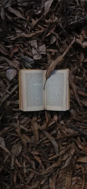 Best Dark Iphone Library Wallpaper WallpapersOK