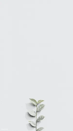 Light gray wallpaper store