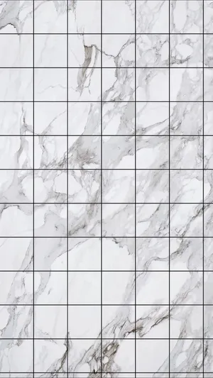 Varied Assets On A White Grid Aesthetic Background Wallpaper WallpapersOK