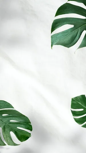 Outdoor Plants Green And White Aesthetic Wallpaper WallpapersOK
